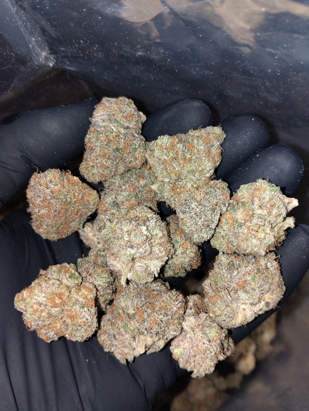 High Grade Flower – Herb Depot Cannabis